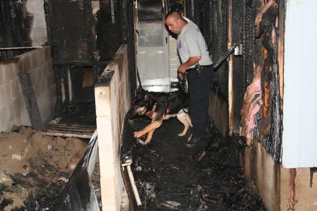 Arson Investigator K9 Blaze Passes Away - Mohegan Volunteer Fire ...